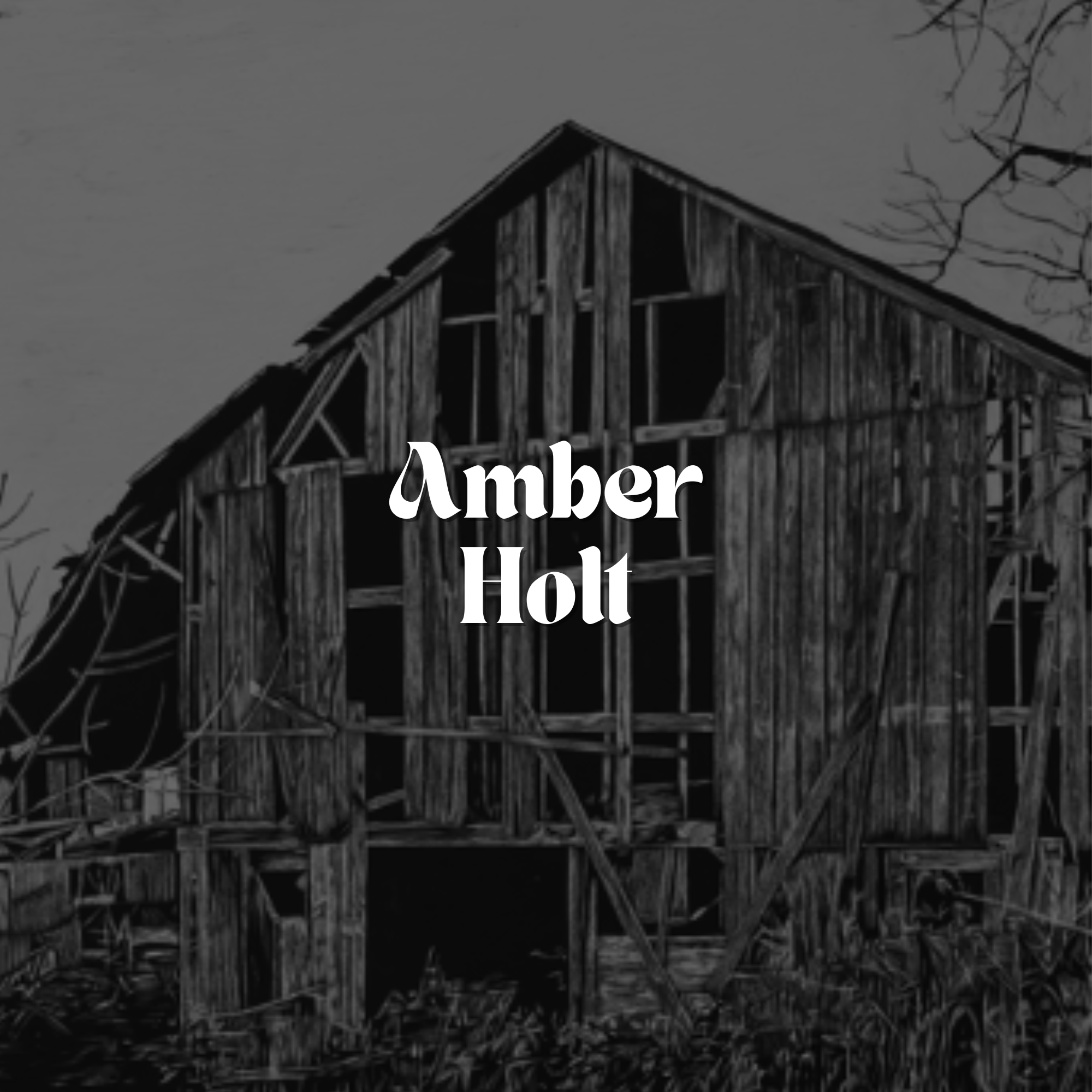 Amber Holt – GIRARD ART WALK 2025