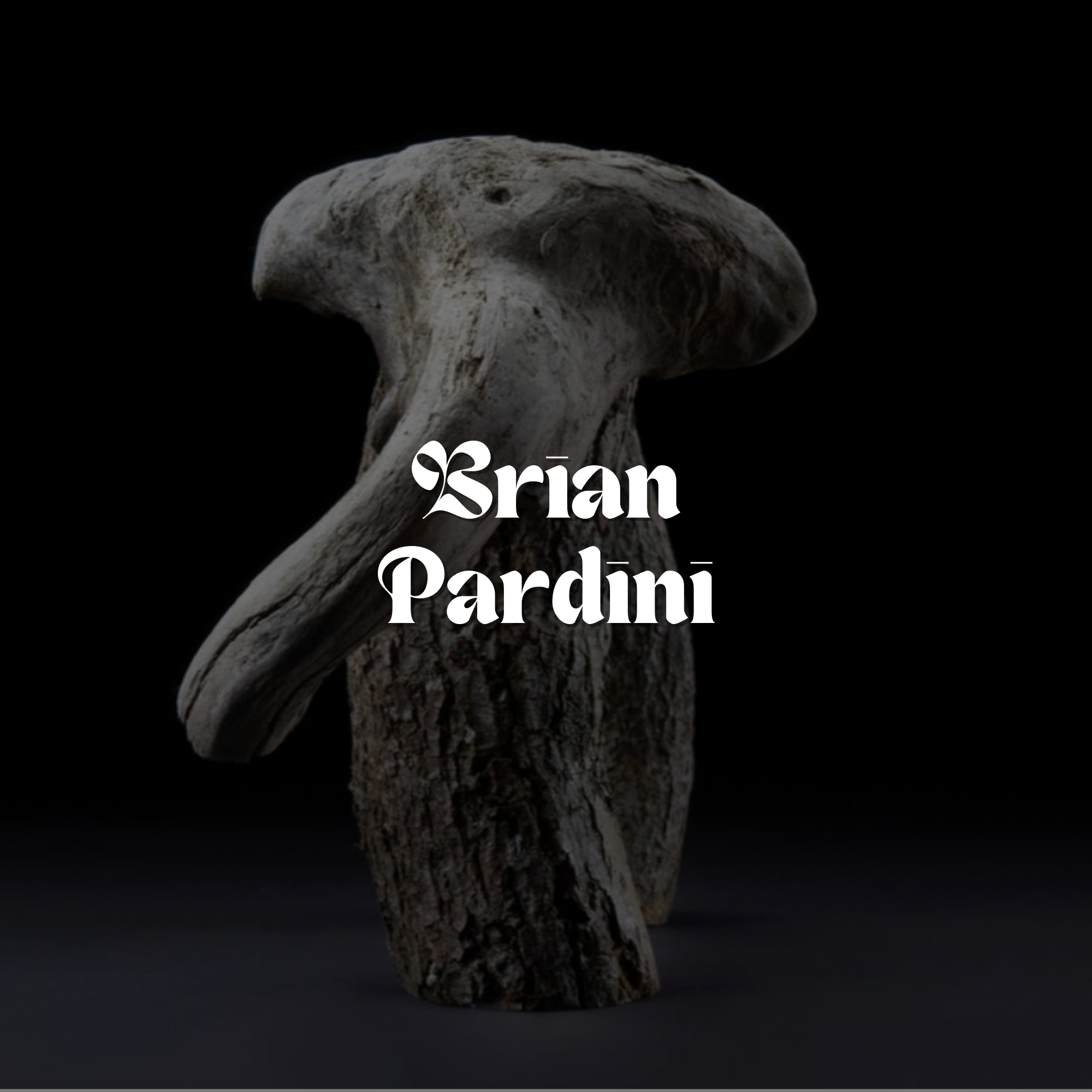 Brian Pardini – GIRARD ART WALK 2025